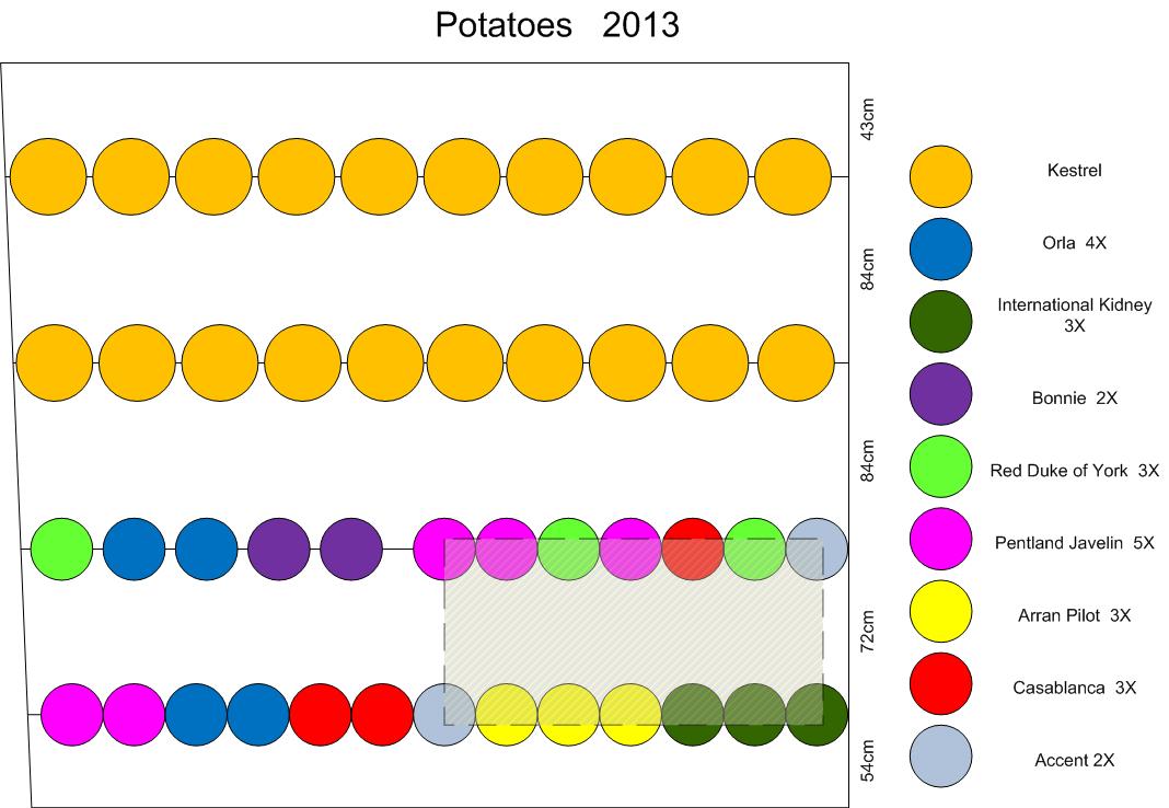 Plot 7 Marsh Lane - Our Hungerford Allotment Blog: Crop Rotation Plan