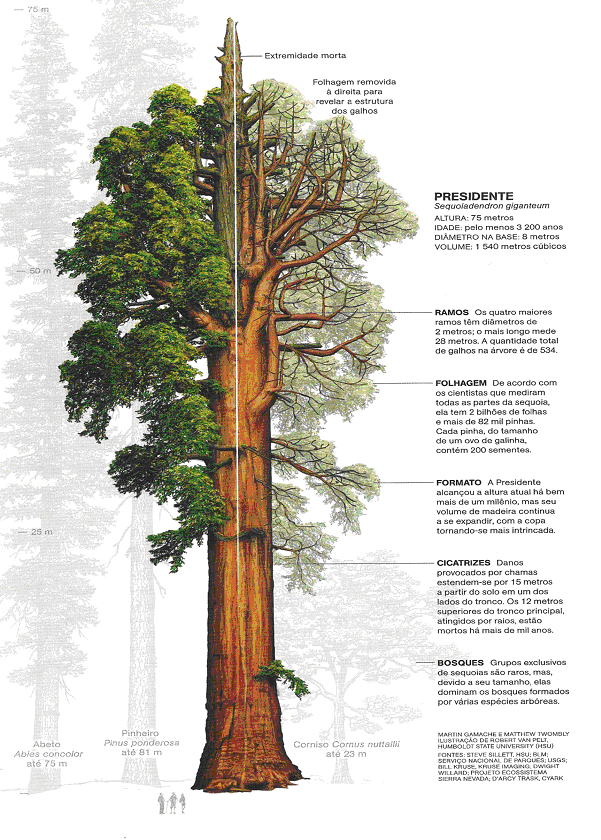 CONHECIMENTOS: COSMOLOGIA: VIDA MARAVILHOSA