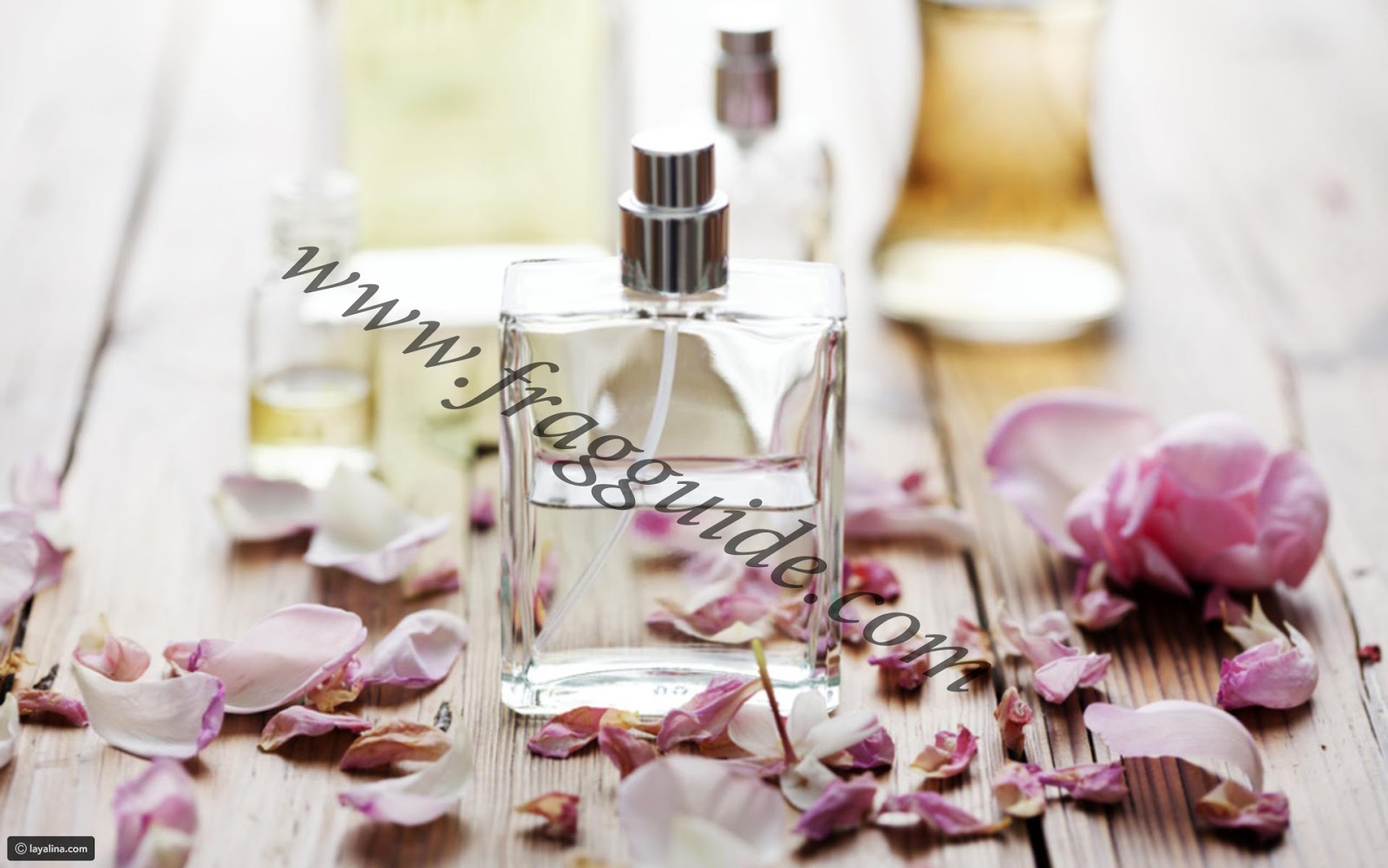 How to choose the private fragrance of yourself ? | A guide for making ...