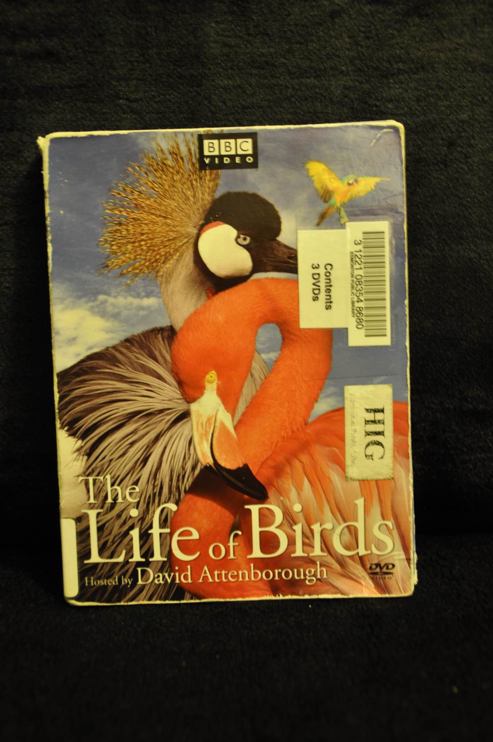 Edventures in Edmonton: BBC Nature Documentary: The Life of Birds