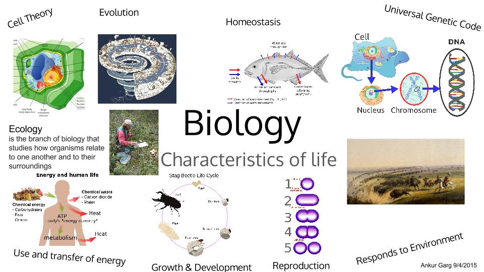 Ankur's bio blog: What is biology? Collage