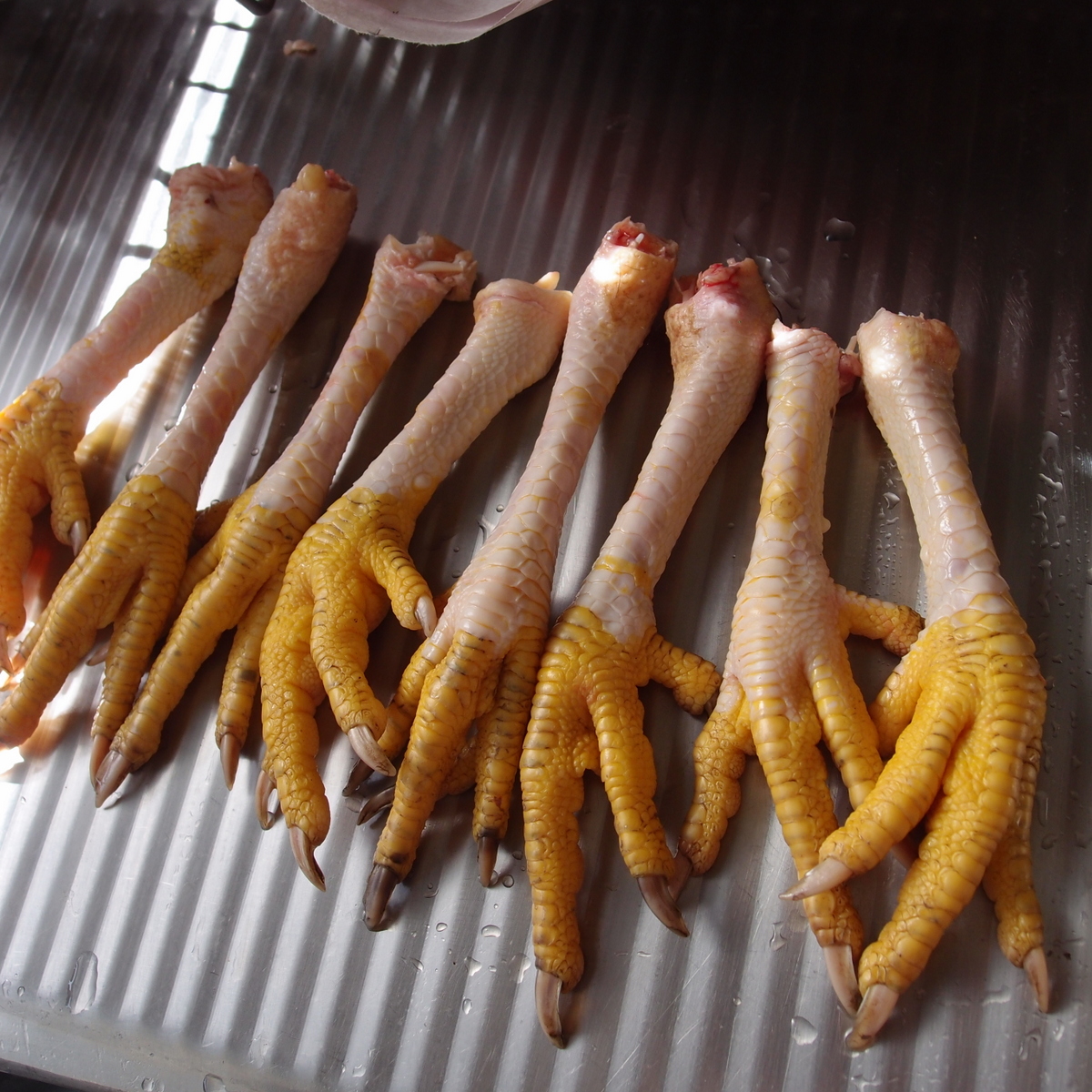 Cooking old chooks – Eight Acres Natural Living