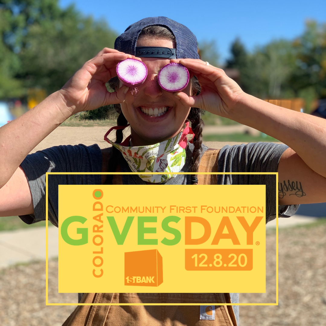 Colorado Gives Day Growing Gardens House Einstein colorado-gives-day-growing-gardens-house-einstein