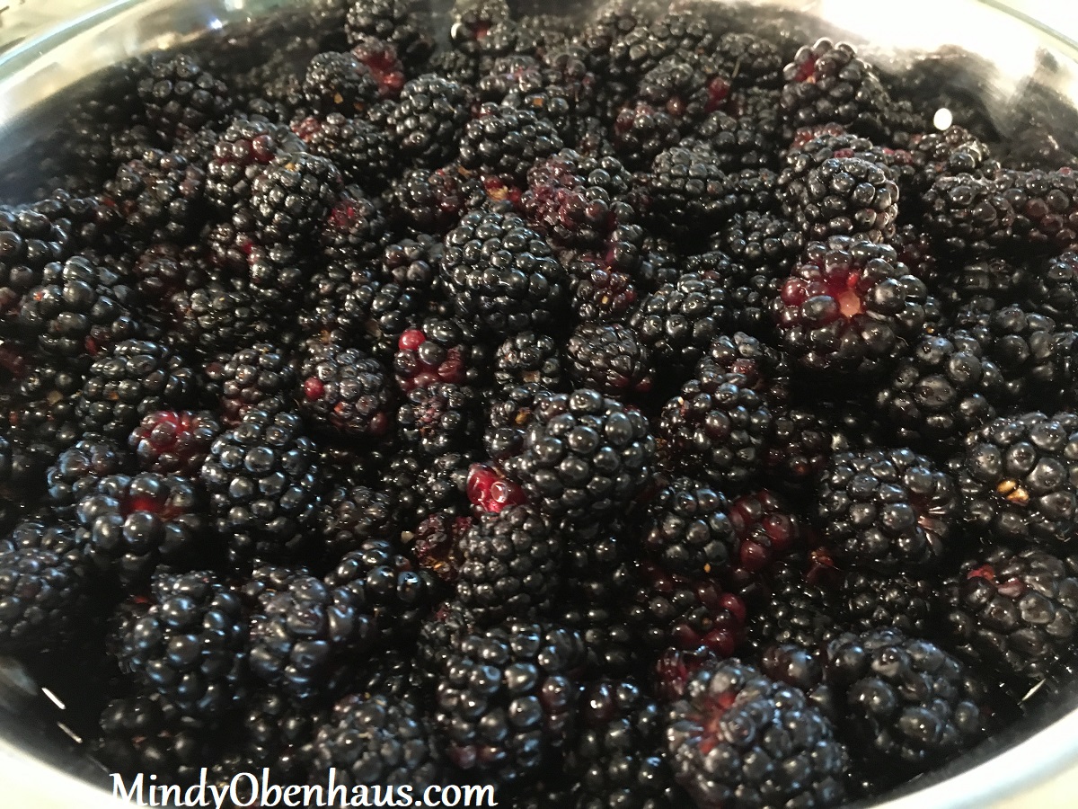 Yankee-Belle Cafe: Dewberry Cobbler