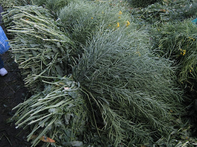 El cuexcomate: Cuatro mercados (1) Verduras en la Central de Abasto