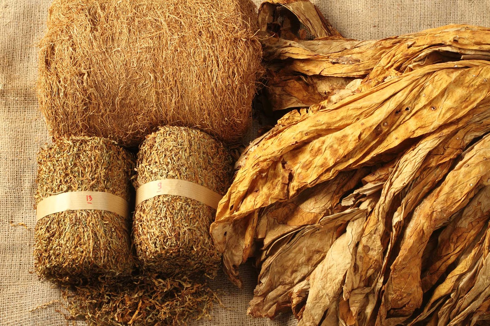 Hobi: Bentuk Lain Cita Rasa Tembakau - PARIAMAN TODAY