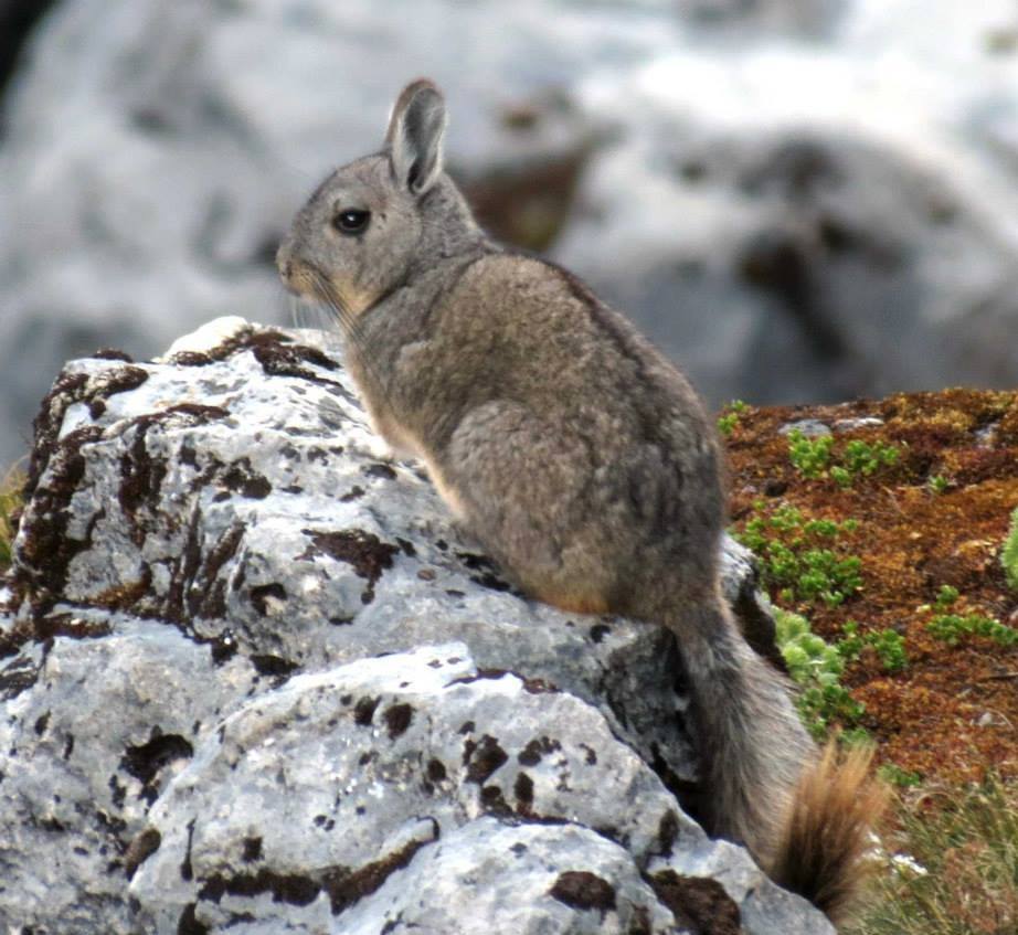 Santuario Nacional de Ampay