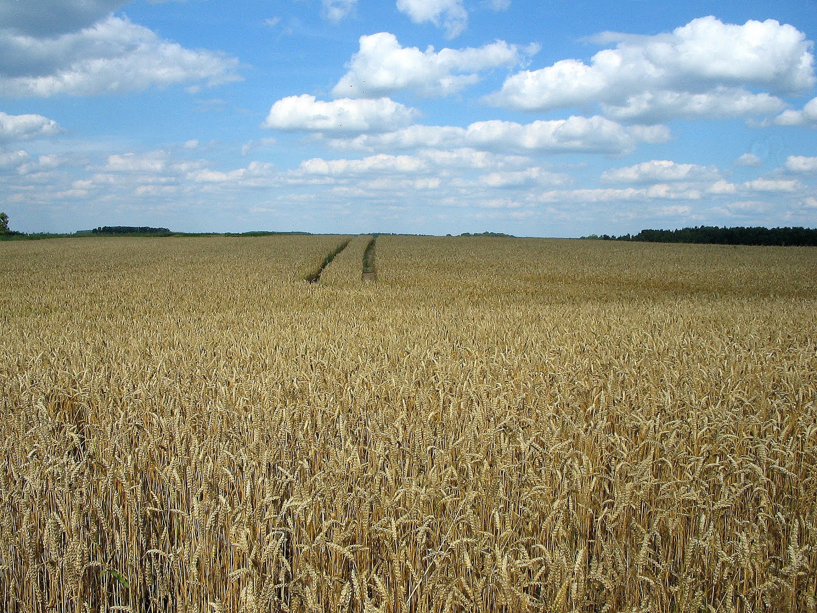 Photo video: Lithuania Radviliskis