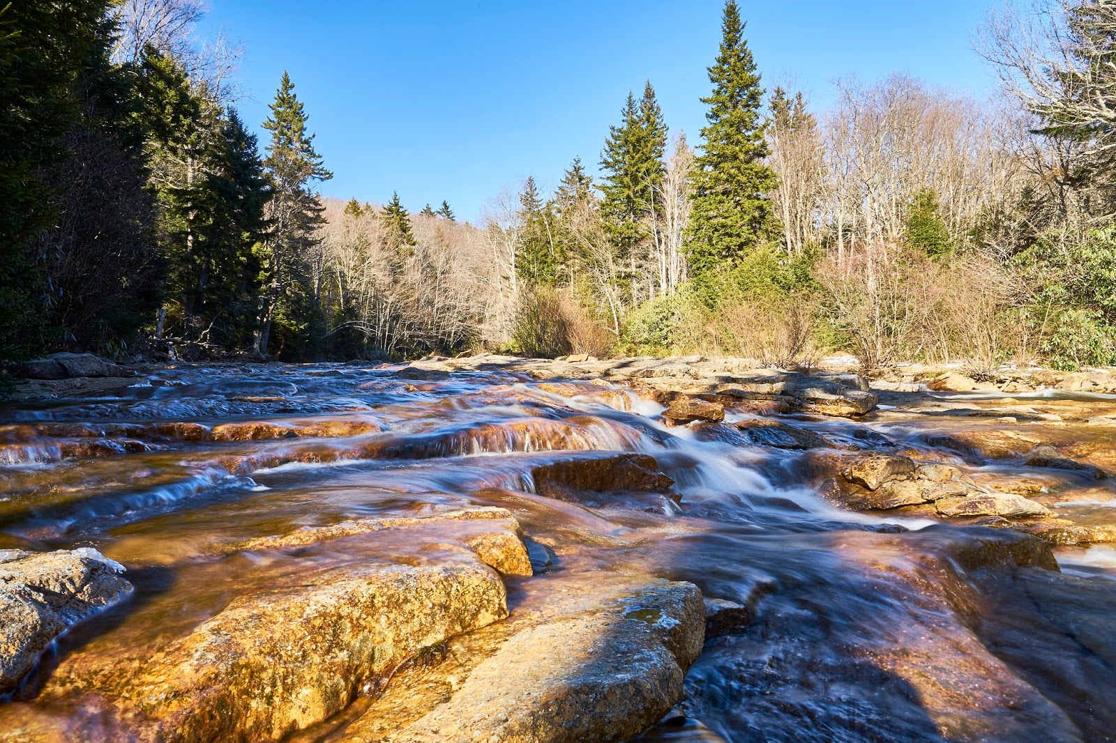Dolly Sods spring | Backcountry Post