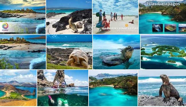 GALÁPAGOS TURÍSTICO: ISLAS ENCANTADAS