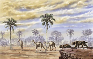 Extinct Animal of the Week: Images of Camelops