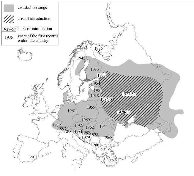 Golden Jackal Canis aureus: Golden Jackal survey in W. Estonia