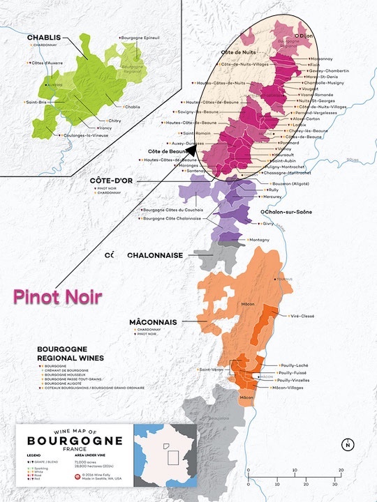 Wine MDQ: En la Ruta del Pinot Noir - Episodio 1