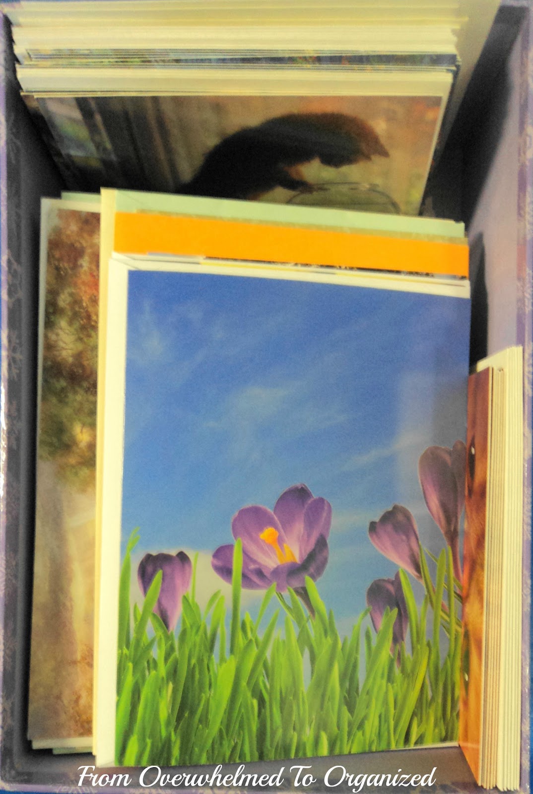 Organizing My Greeting Cards | From Overwhelmed to Organized ...