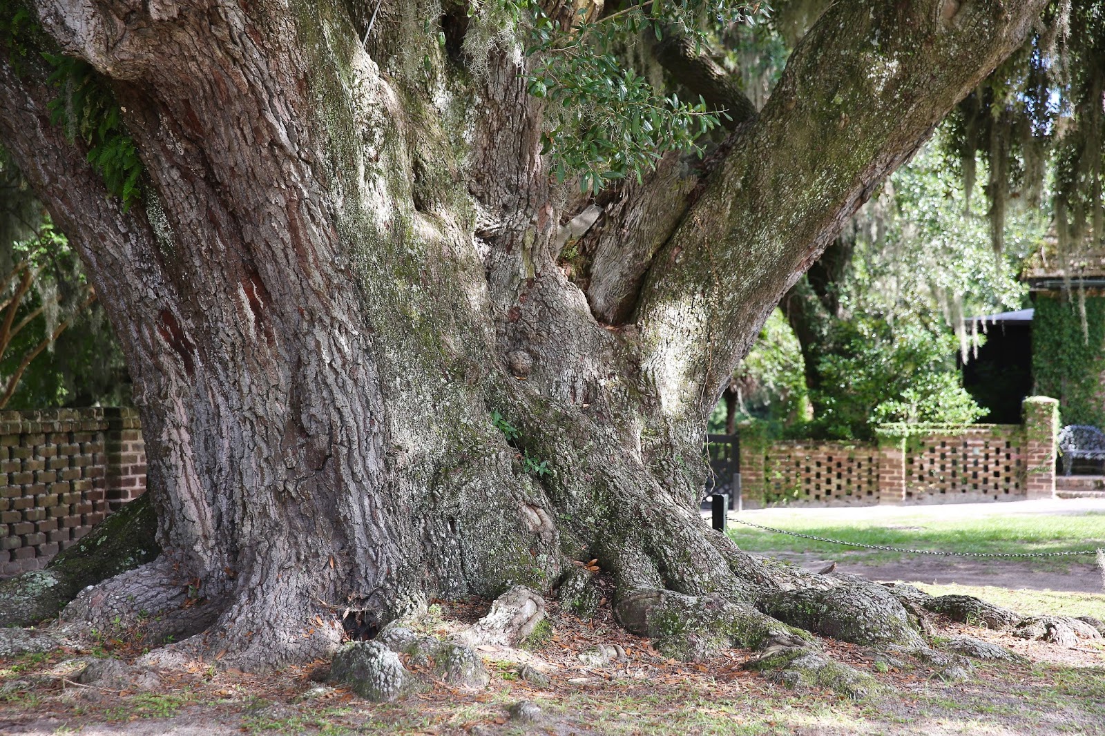 Sweet Southern Days: Middleton Place ~ Historic Plantation Outside Of ...