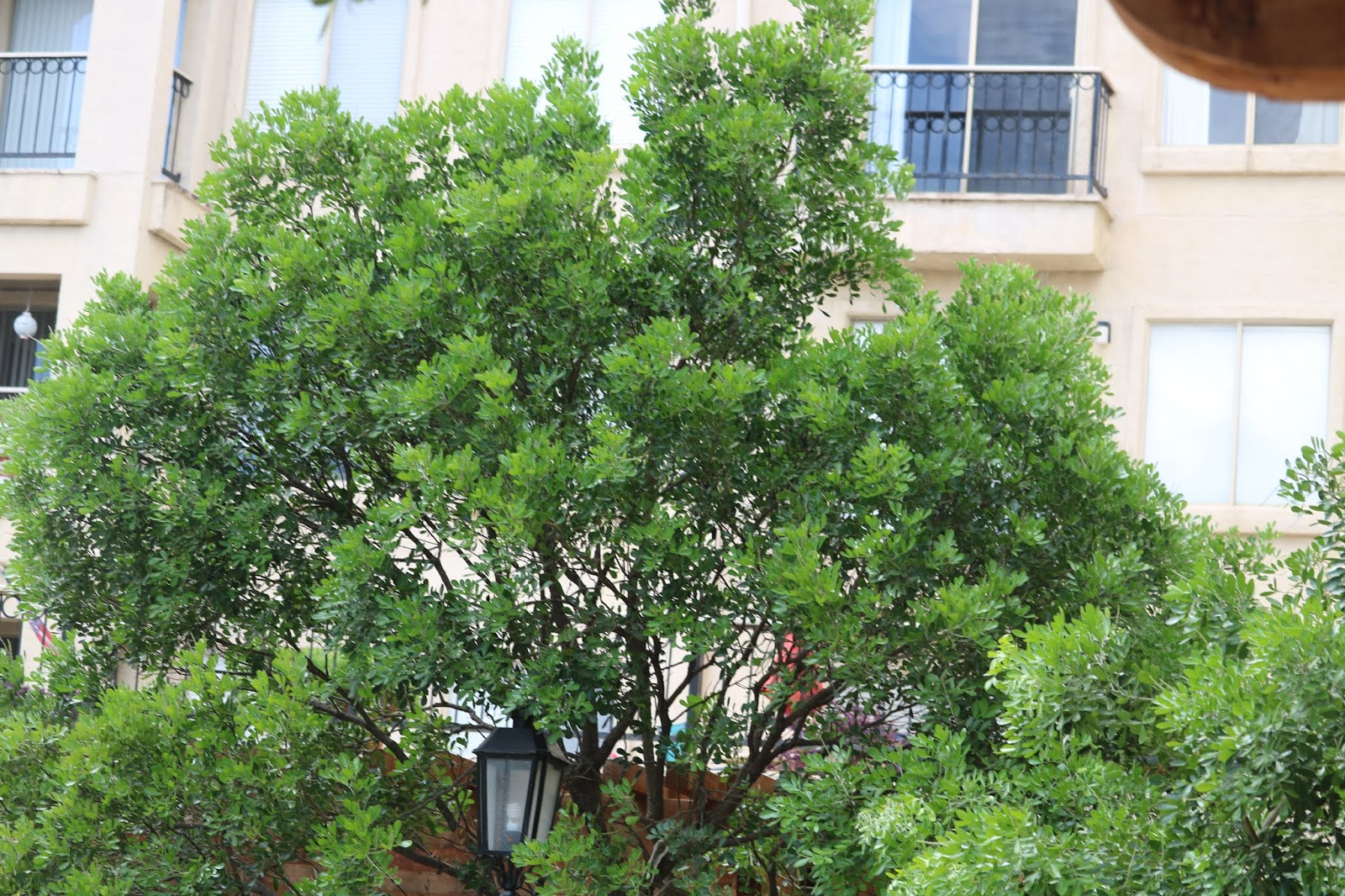 Walker Report - Shedding Light on Bexar County: More scenic photos of ...