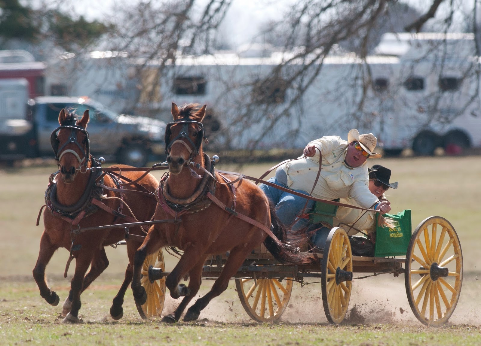 Chuckwagon Races