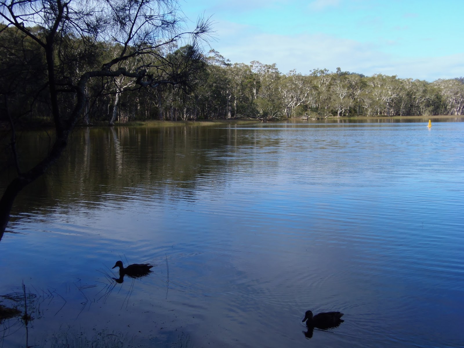 Solo Steve On The Road: LITTLE LAKE, NERANIE NSW