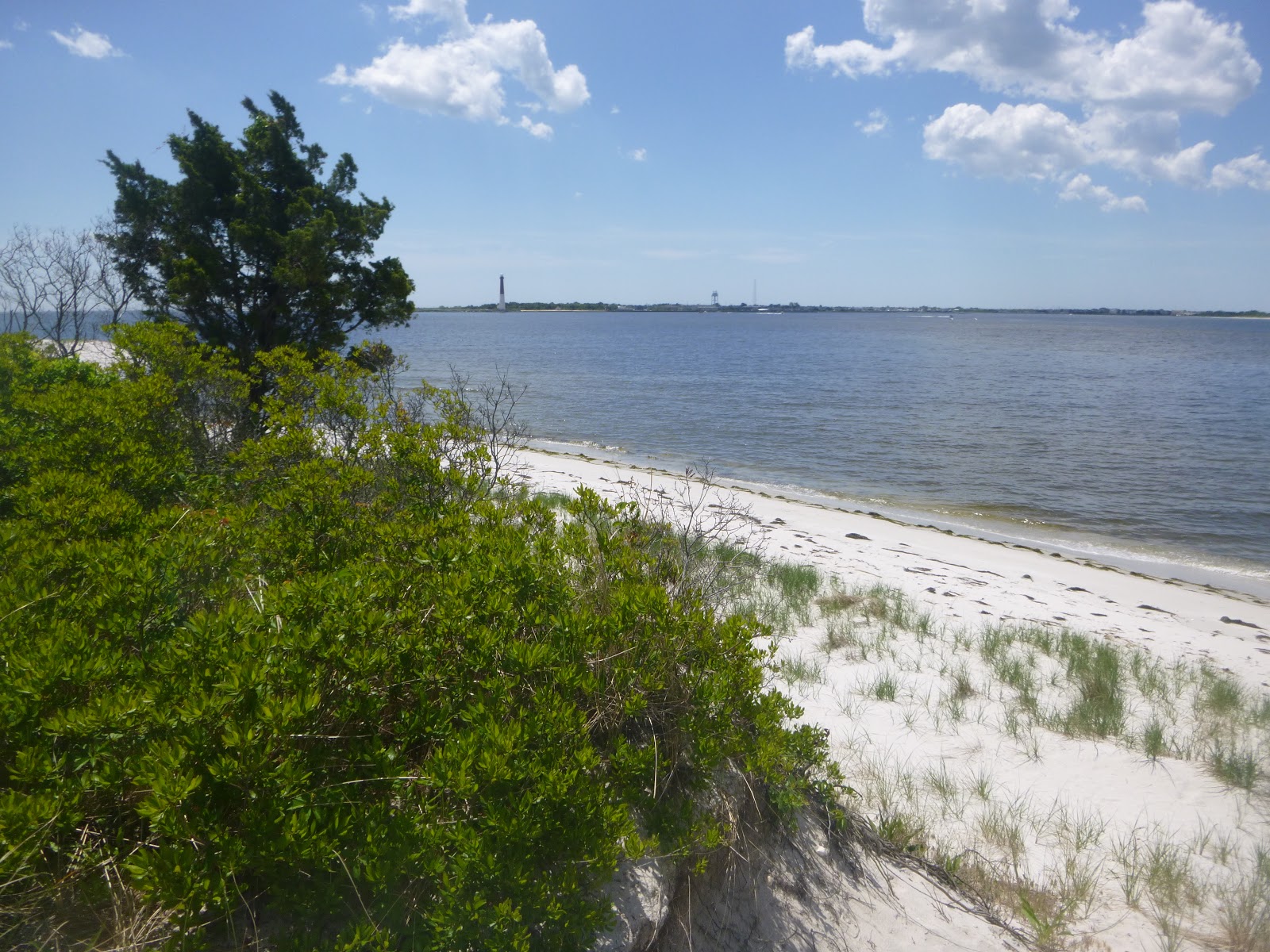 new jersey fishing report | fishing new jersey | NJ fishing | fishing ...