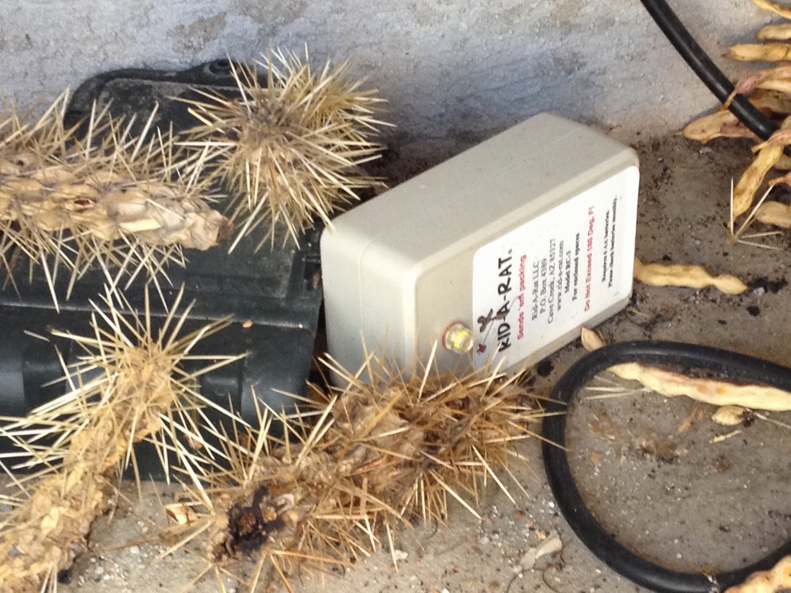 Mr. Pack Rat: Pack Rat Solution Myths