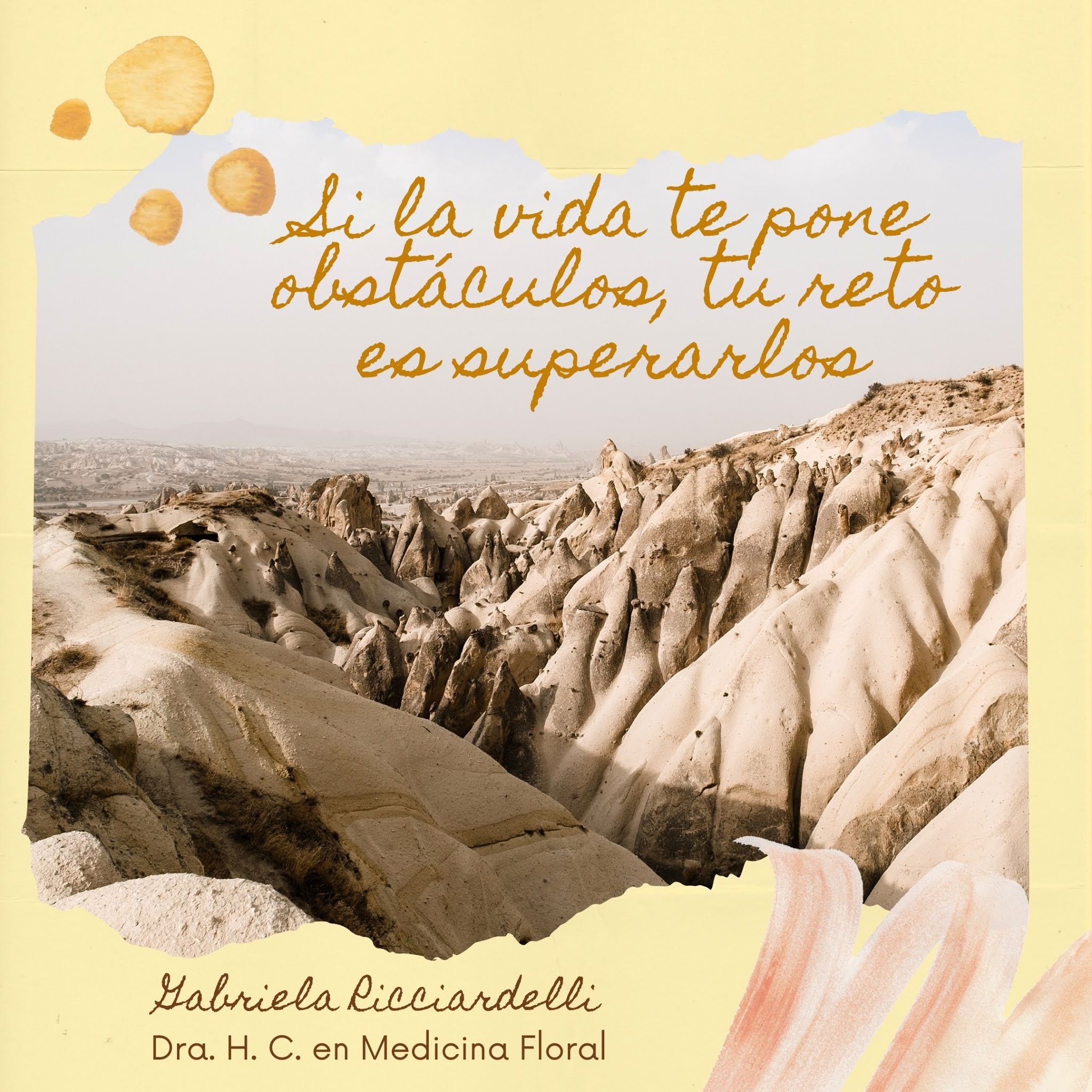 CENTRO CEDES ARGENTINA