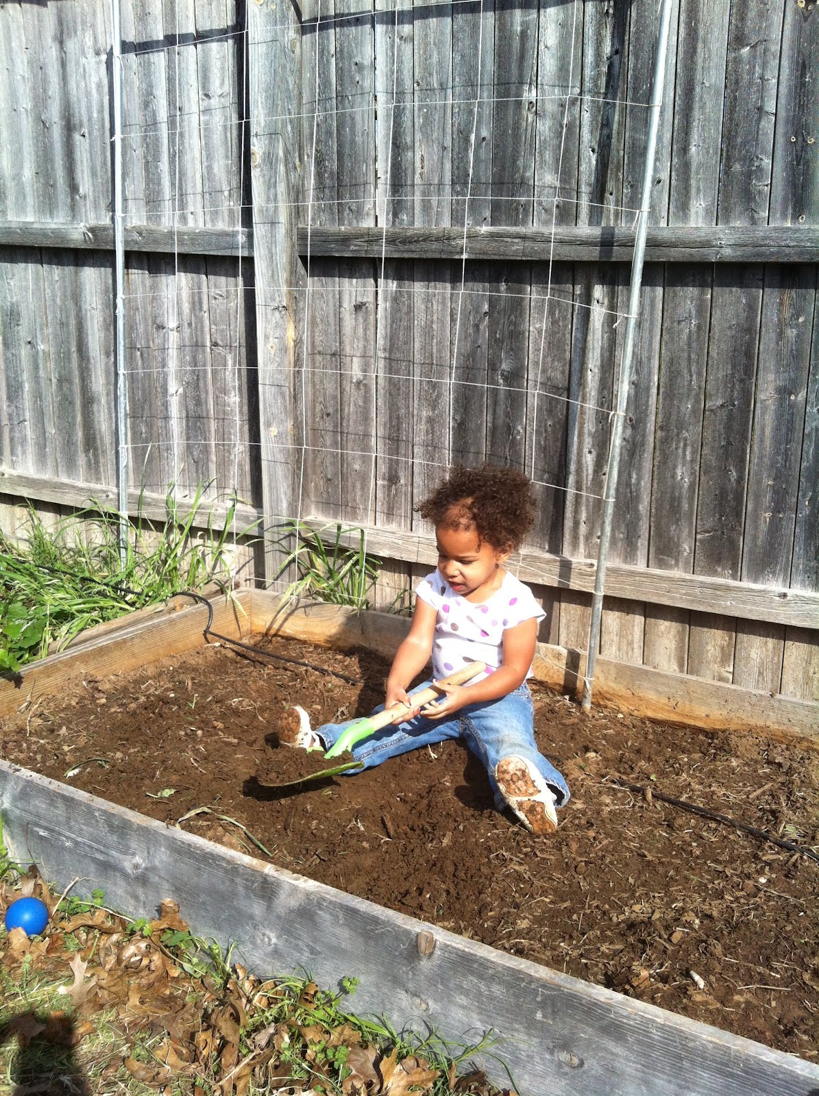 Growing our Forever Family: Gardening!