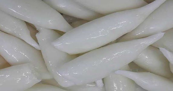 Tubo de calamar ~ Venta al por mayor de Pescados y Mariscos