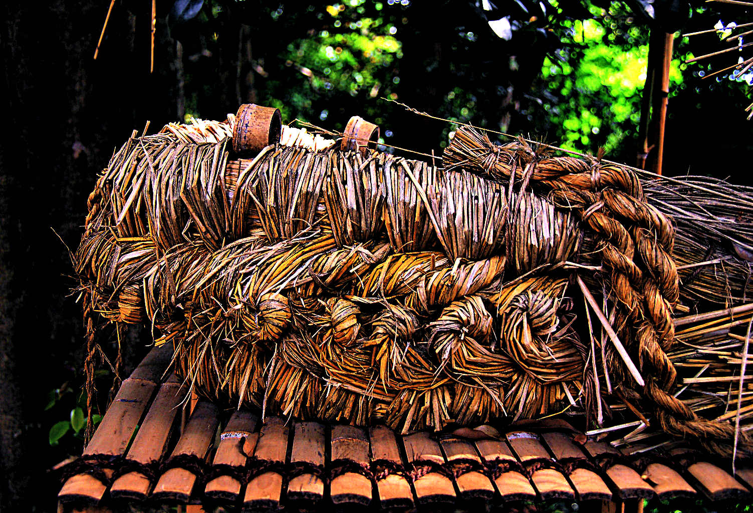 More glimpses of unfamiliar Japan: November 2014