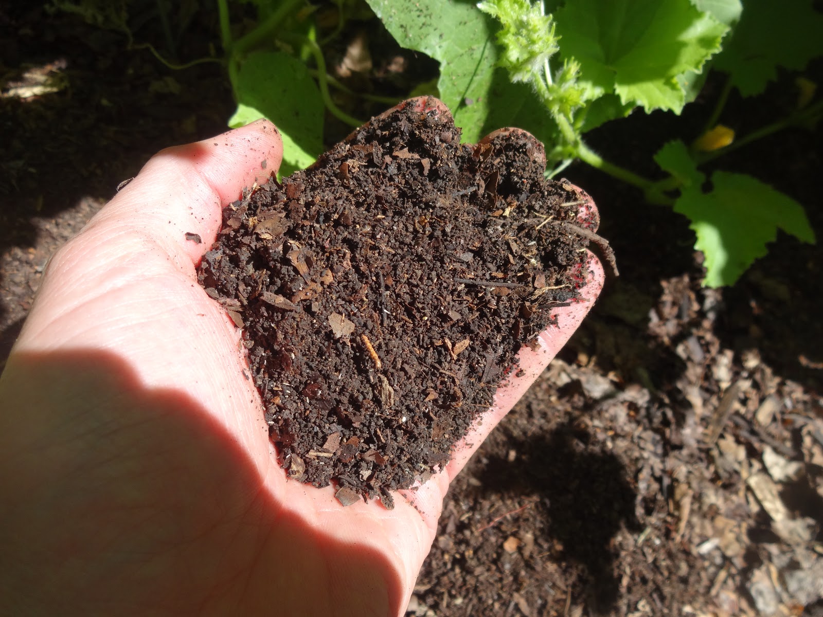 The Scientific Gardener: Increasing soil fertility by combining compost ...