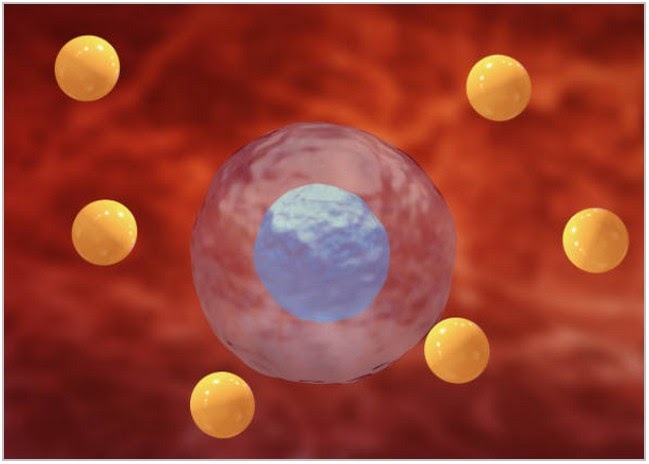 Antioksidan dan Fungsinya untuk Tubuh - firmankasan.com