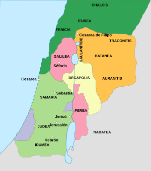 ¿Cuántos reyes Herodes aparecen en la Biblia?