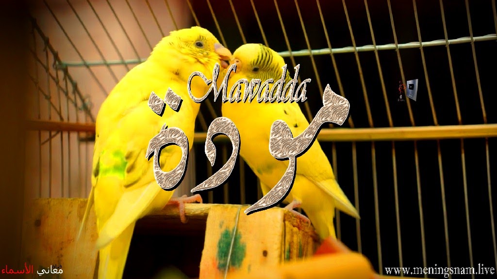 معنى اسم مودة وصفات حاملة هذا الاسم Mawadda - معاني الأسماء ومعاني ...