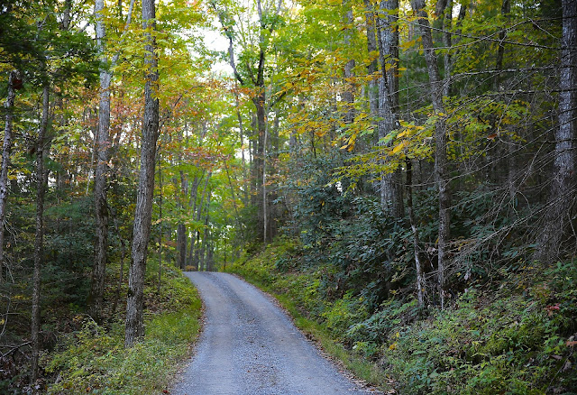 Sweet Southern Days: Parson Branch Road In The Great Smoky Mountains ...