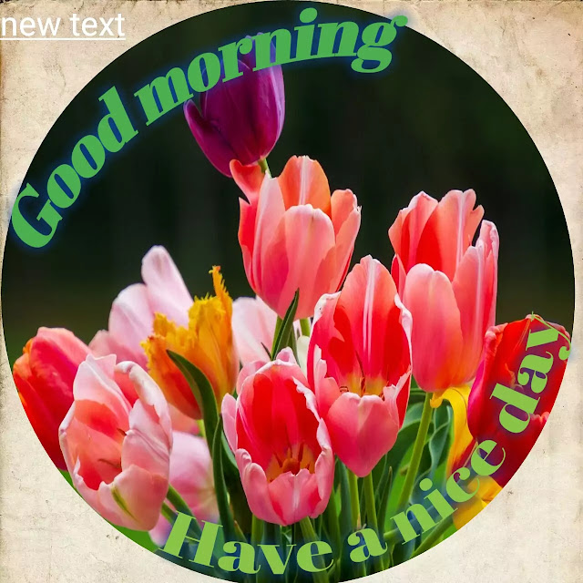 Good Morning My Love Images For Whatsapp