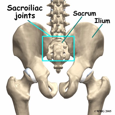 outer universe to inner universe: Sacrum - the holy bone