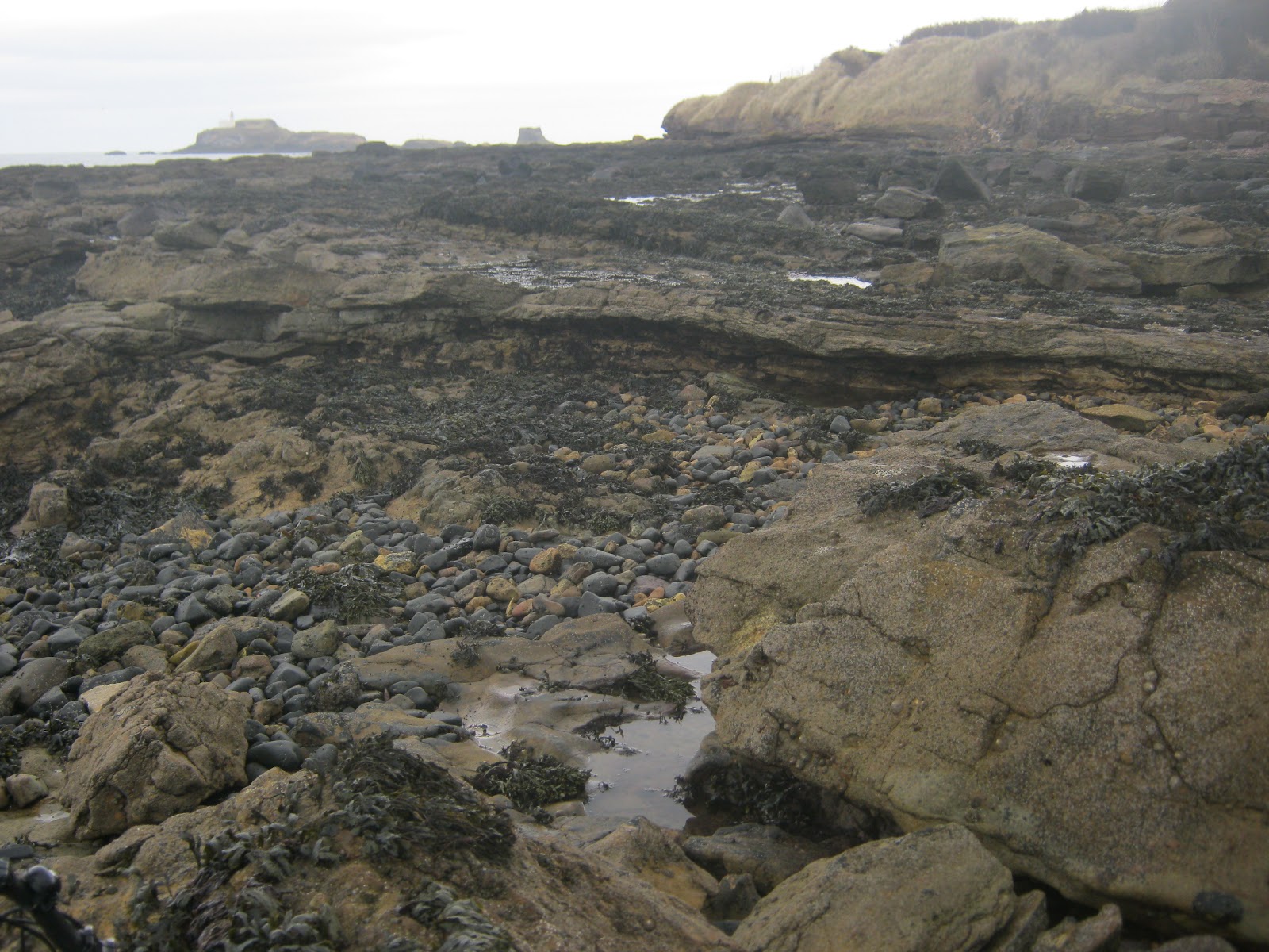 coastrider: Spring Tides Beach Rides...