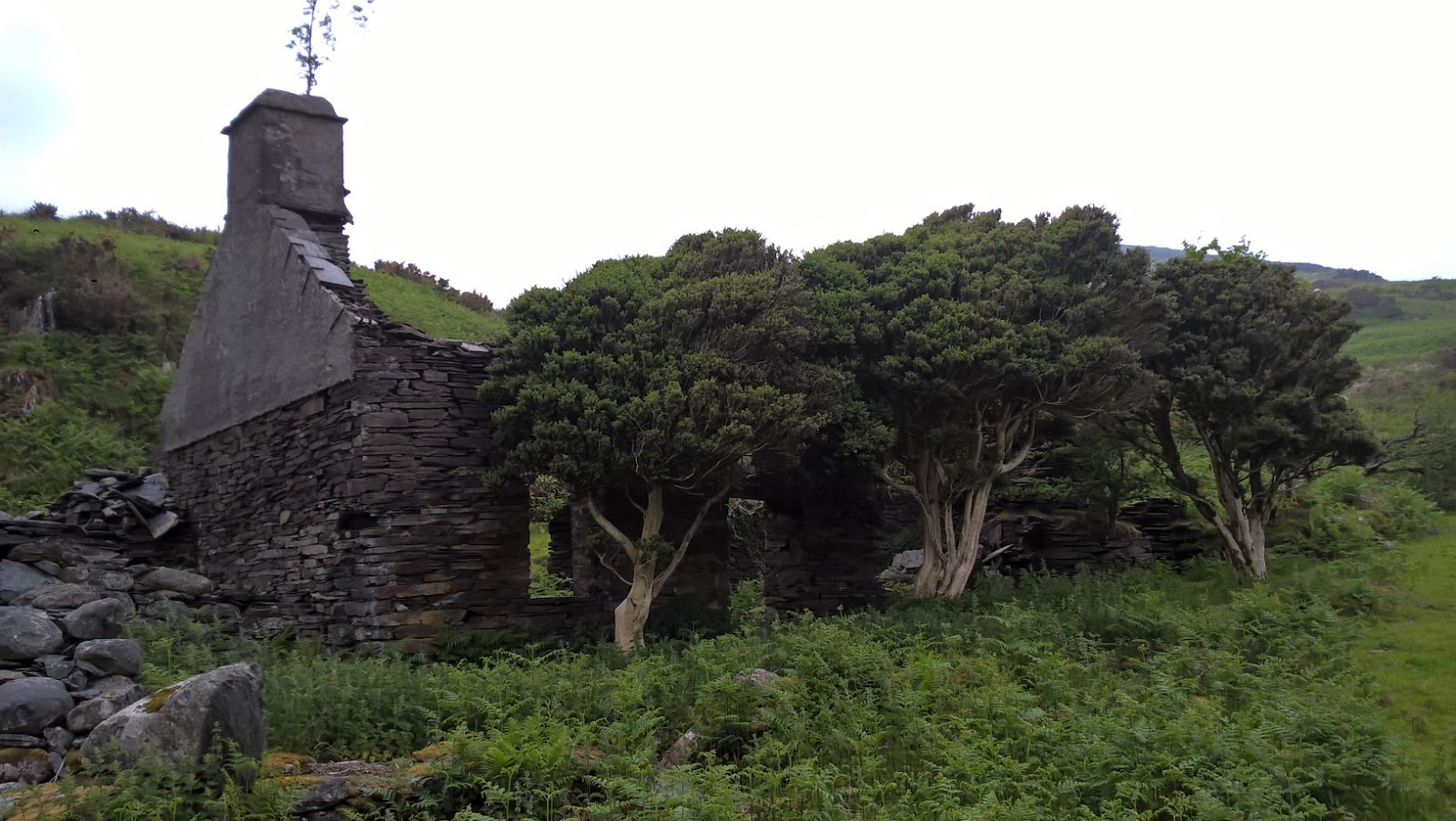 Martys` walks: Mary Jones Walk