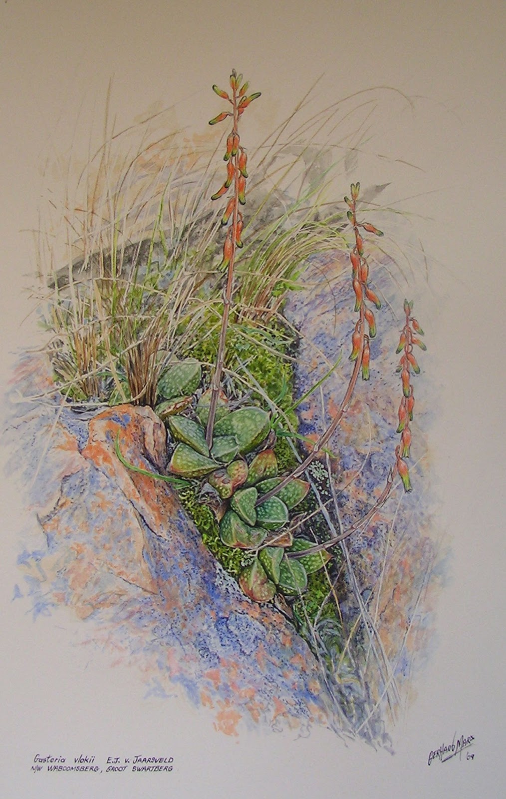 Gerhard Marx: Artwork