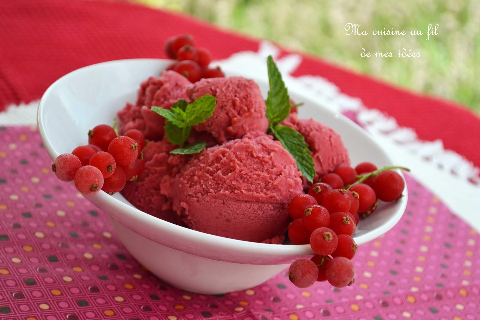 Ma cuisine au fil de mes idées...: Sorbet aux groseilles rouges ...