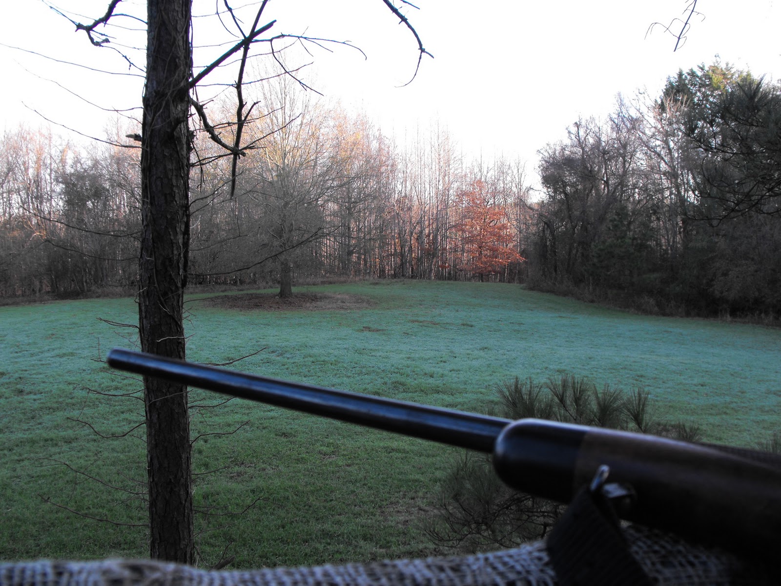 A Spike Camp Hunt | Outdoors | Before It's News