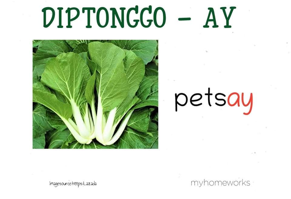 My Homeworks: DIPTONGGO (ay)