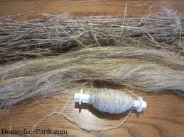 Leaves on the Raney Tree: January 2019