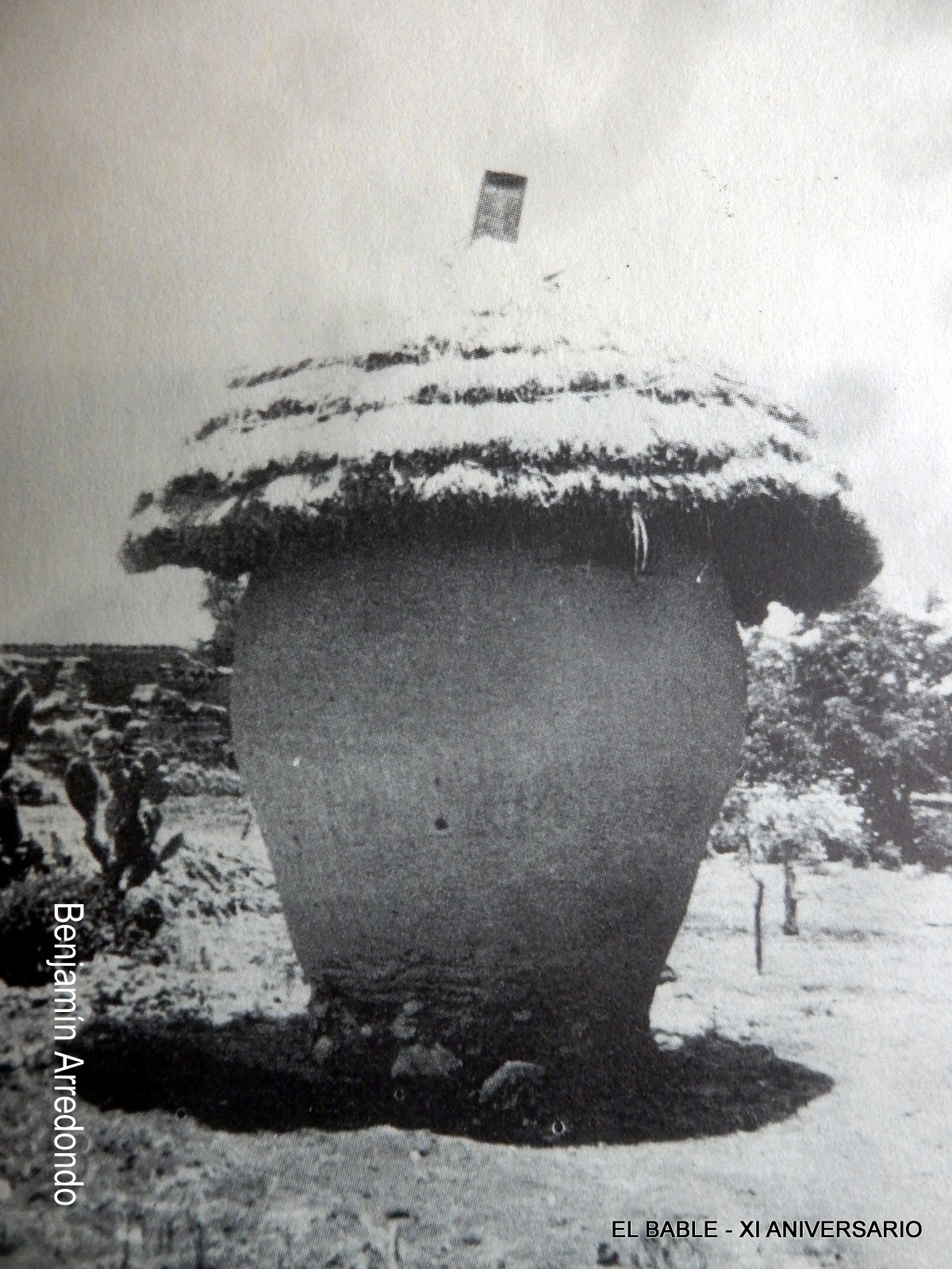 El Bable: Cuexcomate, el granero tradicional mexicano