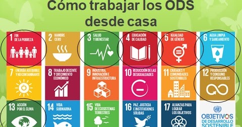 Cómo trabajar los ODS desde casa