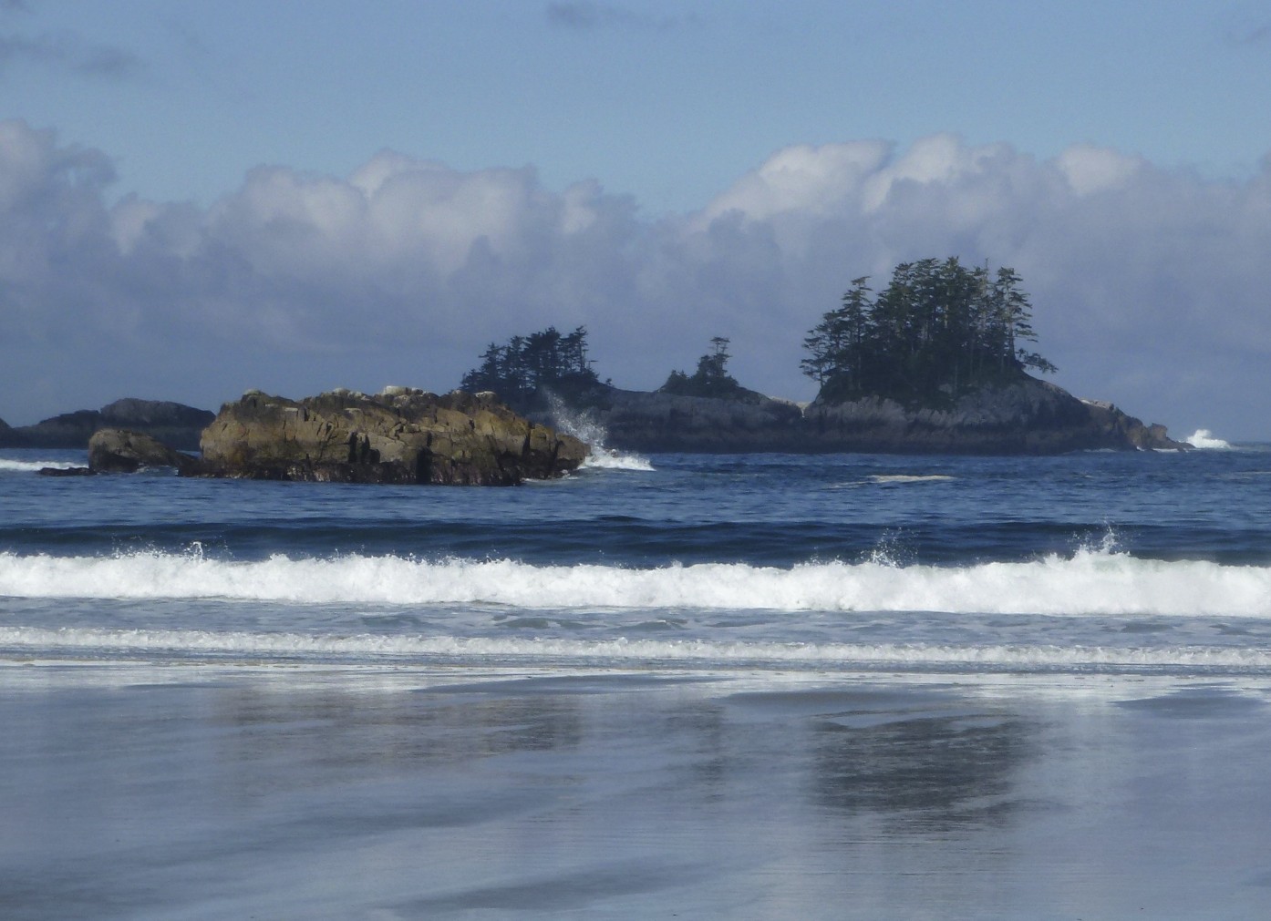 Janice Robertson's art: Calvert Island trip