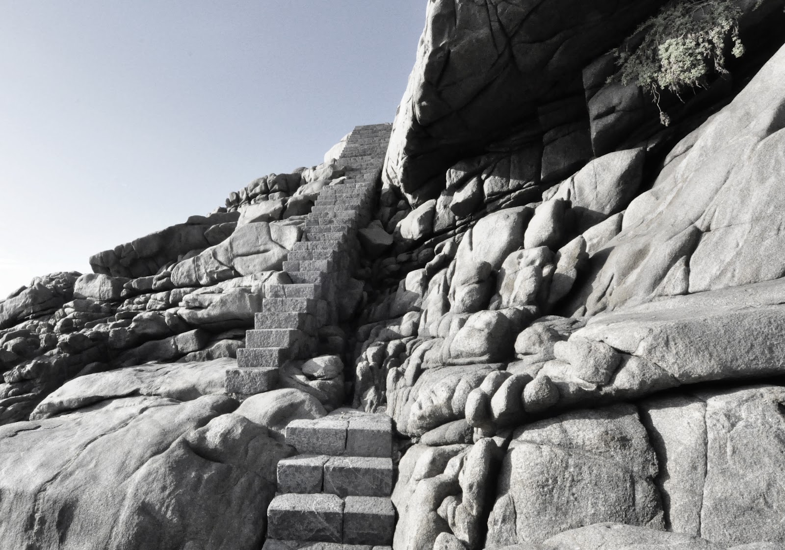 Teresa Moller y Asociados: PUNTA PITE