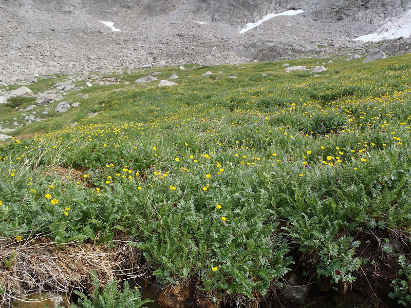 Tales of the Running Hophead: Buchanan/Pawnee Pass 28 Mile Loop Hike ...