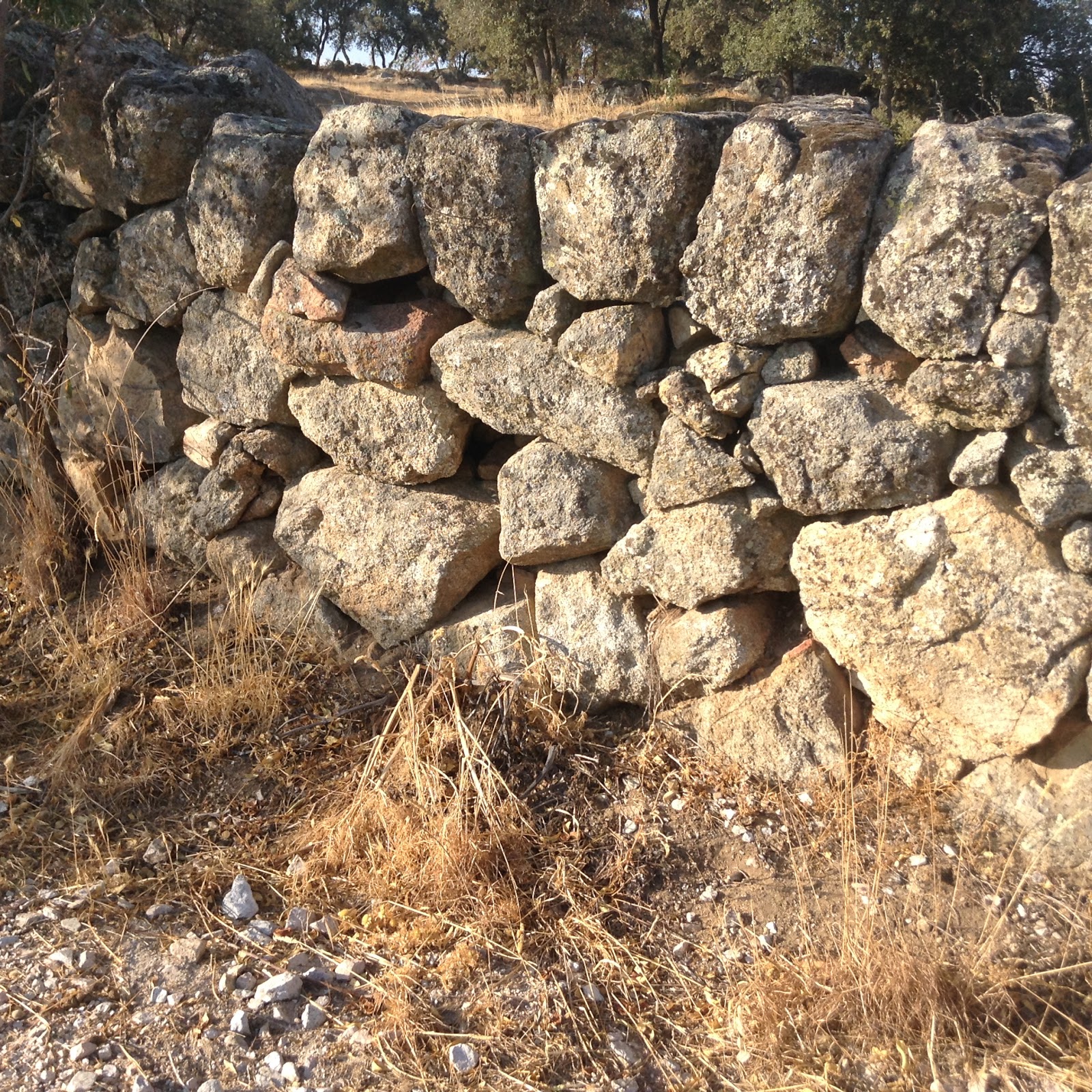 Drystone walling and hedgelaying: Spanish Drystone Walls