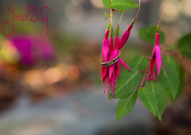 Simplicity Photography