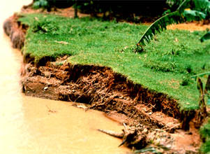 Proses Terjadinya Erosi Sungai, Air Laut,Es dan Angin | BNET Purwoharjo
